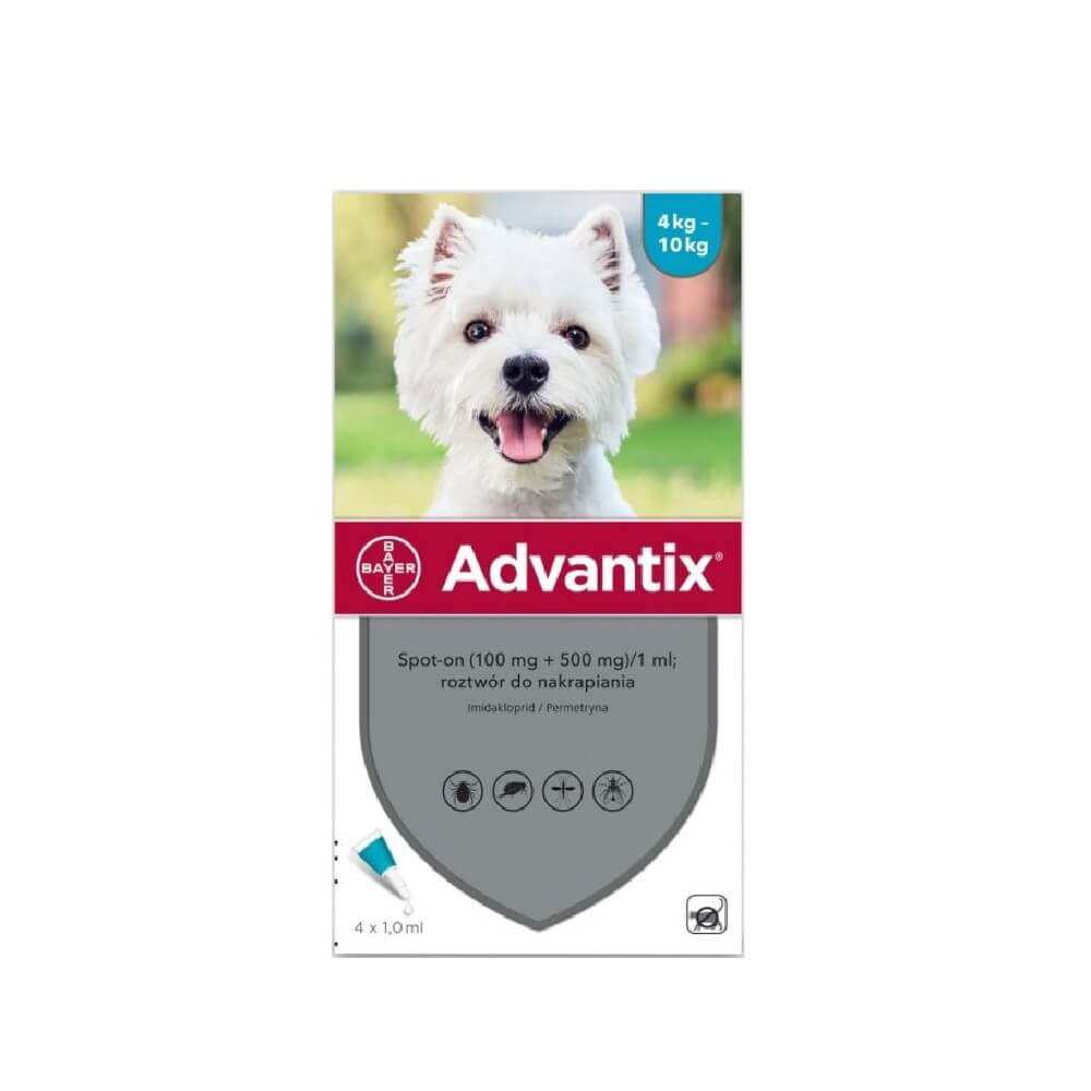 Najskuteczniejszy środek na pchły dla psa - Ranking listopad 2023 ...